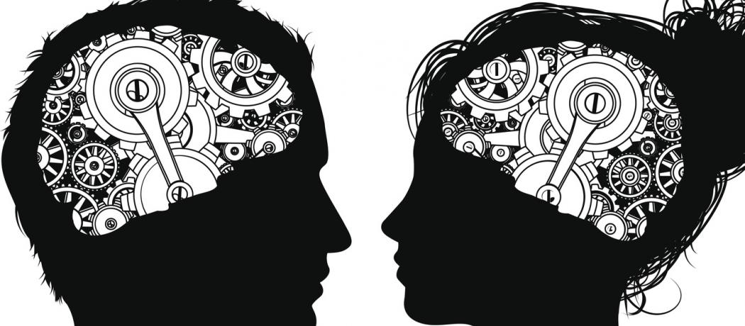 Book review: Gender and our brain | British Columbia Medical Journal