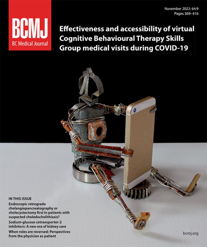 Two-Eyed Seeing: Current approaches, and discussion of medical ...